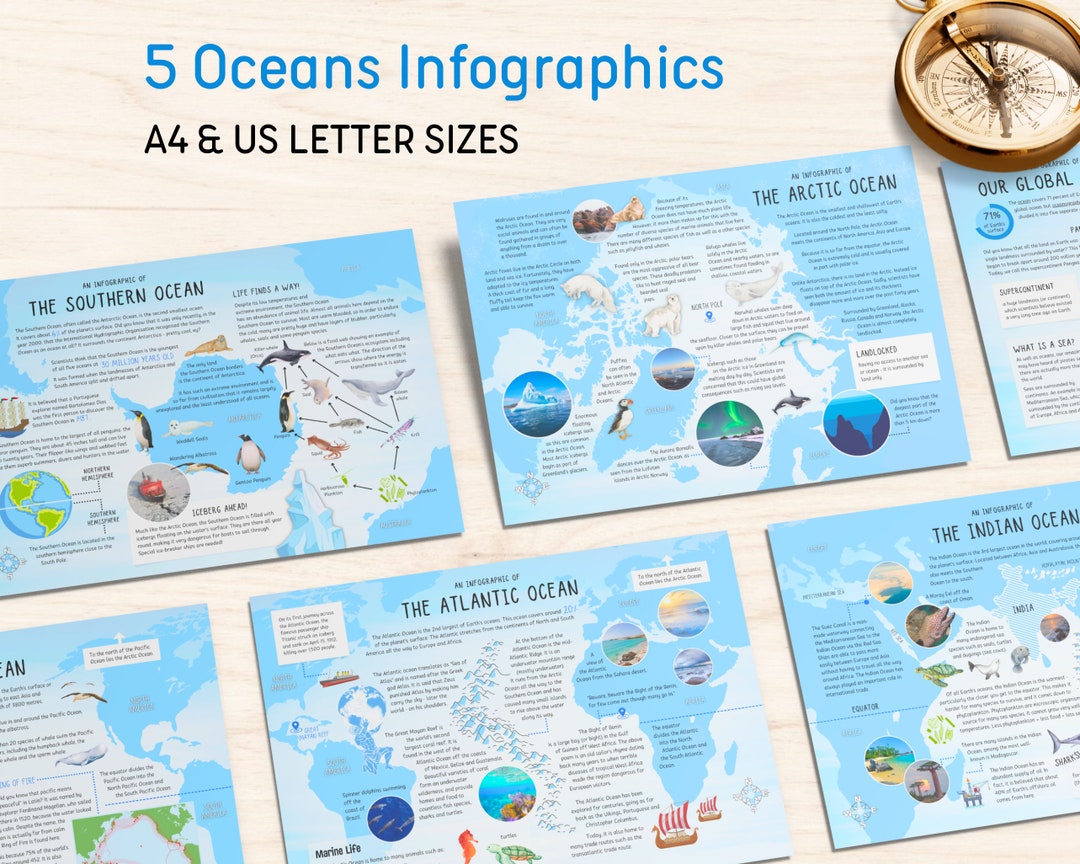 5 Oceans Infographics | Fact Files Geography Learning Primary Education ...