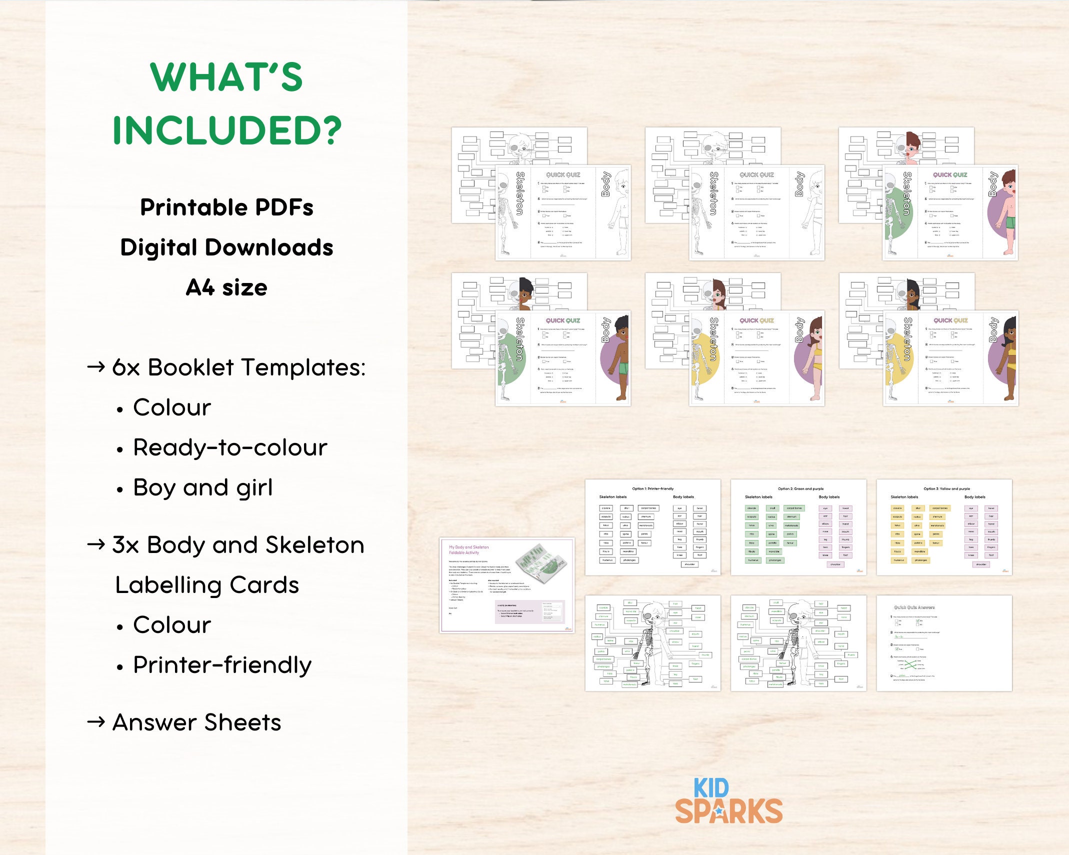 Human Body Skeleton Foldable Activity Science Learning Education ...