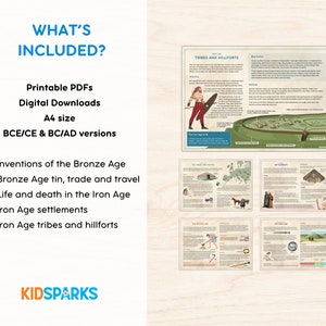 Printable Bronze Age and Iron Age Fact Files | Prehistoric Human ...
