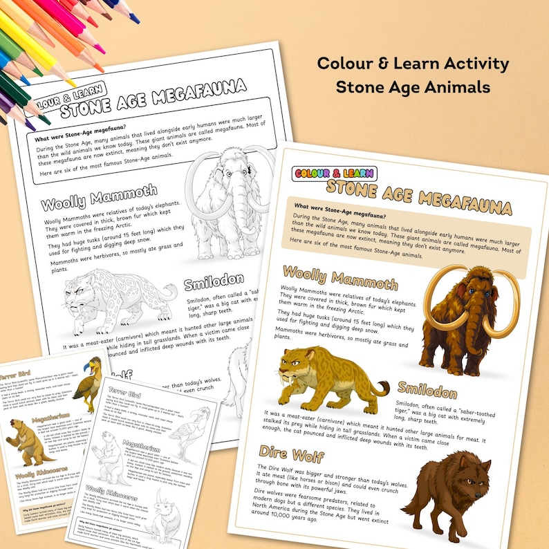 Stone, Bronze & Iron Age Activity Bundle – KS2 History Worksheets ...