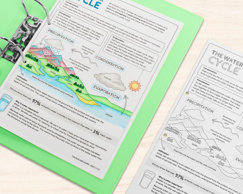 Printable Coloring Fact File, Water Cycle, Color and Learn, for ...
