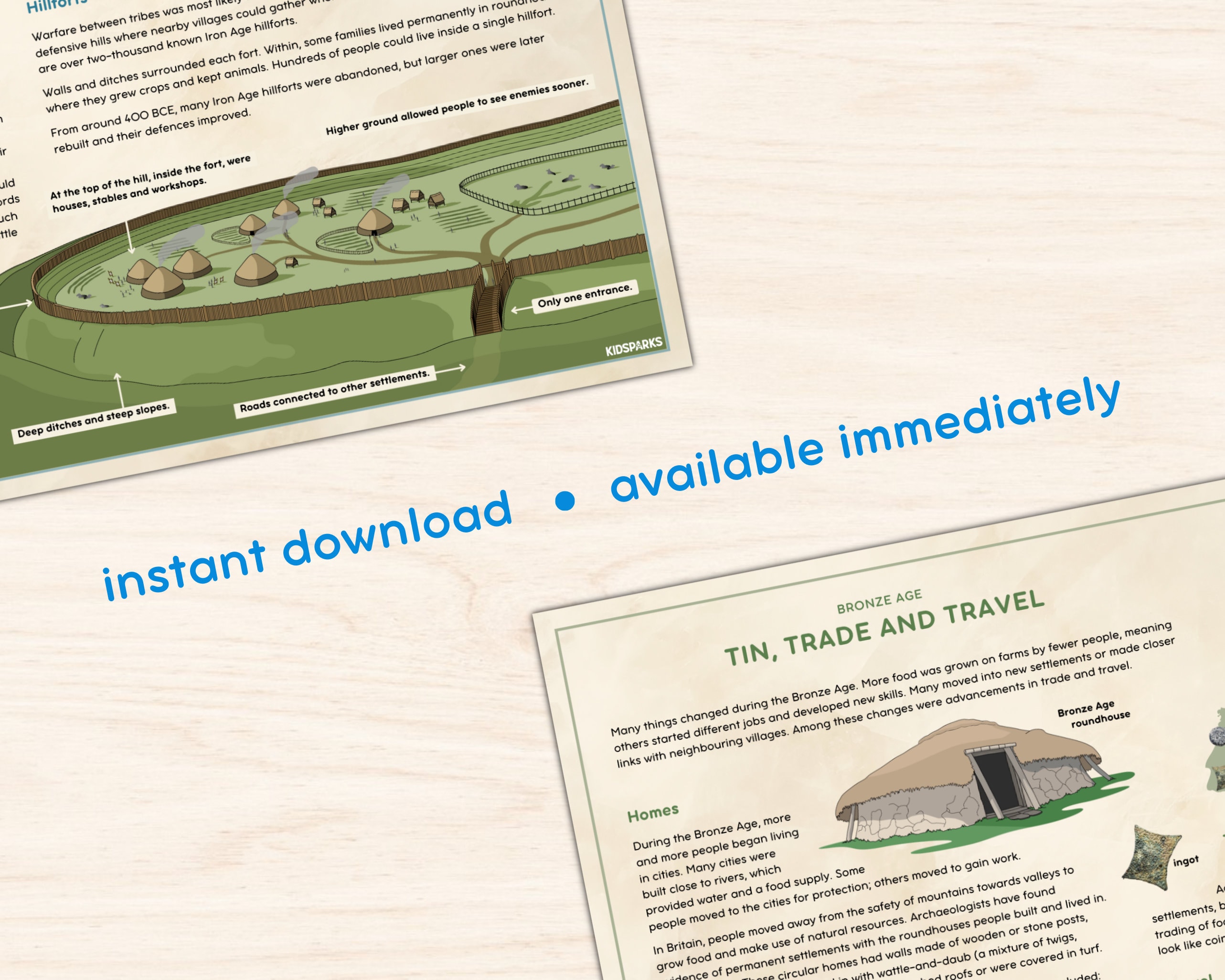 Printable Bronze Age and Iron Age Fact Files | Prehistoric Human ...
