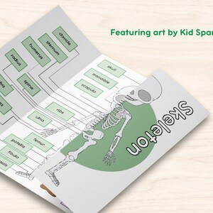 Human Body Skeleton Foldable Activity | Science Learning Education ...