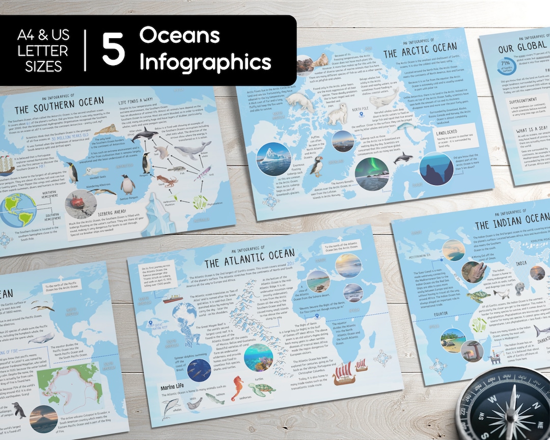 5 Oceans Infographics Fact Files Geography Learning Primary - Etsy