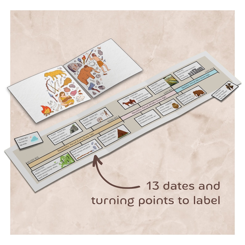 Foldable Stone Age Timeline | Educate Kids About Human History ...