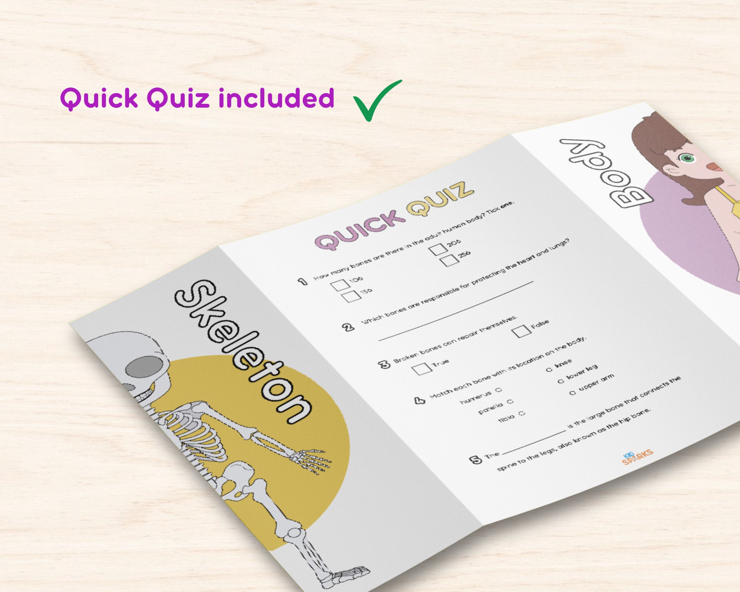 Human Body Skeleton Foldable Activity Science Learning Education ...