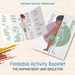 Human Body Skeleton Foldable Activity | Science Learning Education ...