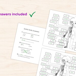 Human Body Skeleton Foldable Activity | Science Learning Education ...