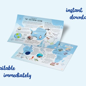 5 Oceans Infographics | Fact Files Geography Learning Primary Education ...