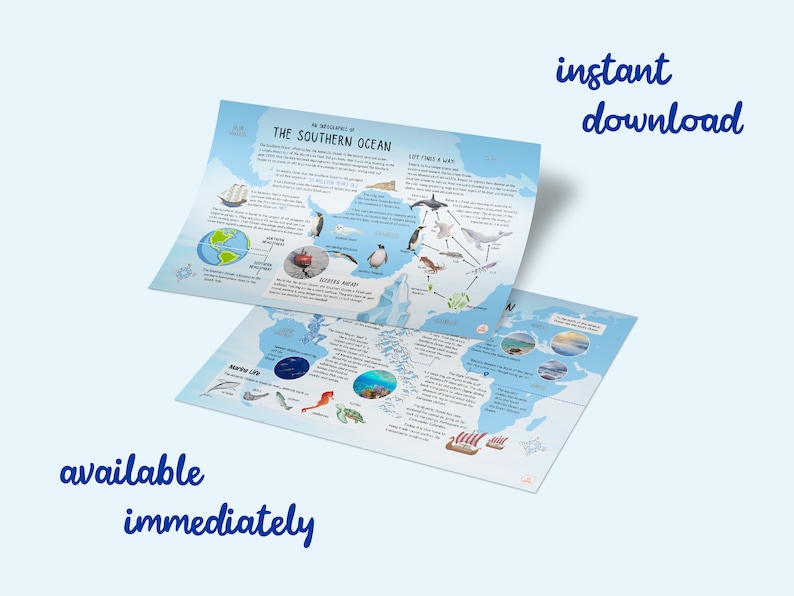 5 Oceans Infographics | Fact Files Geography Learning Primary Education ...