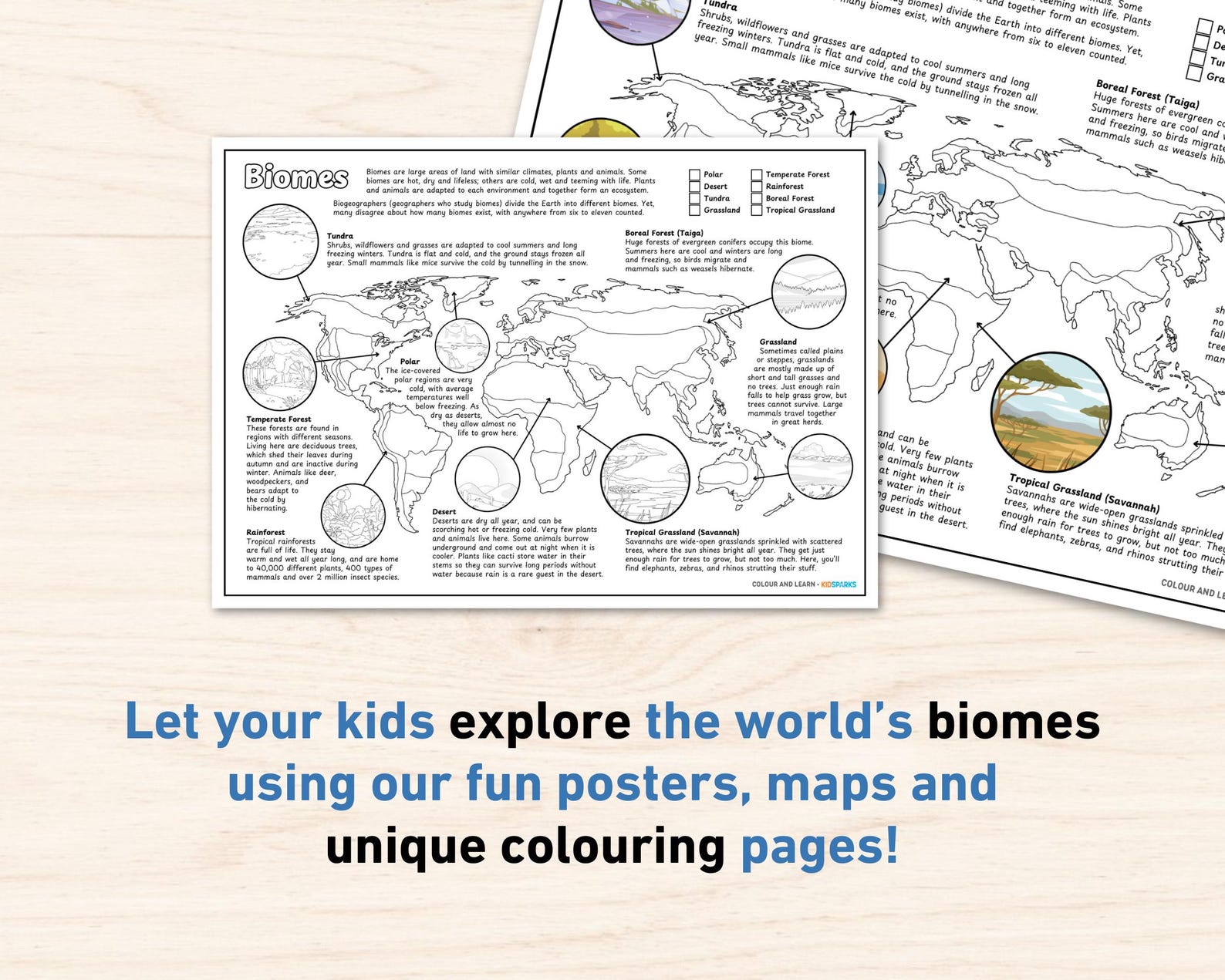 Biomes Printable Colouring Activity, Kids Geography, Map Learning ...