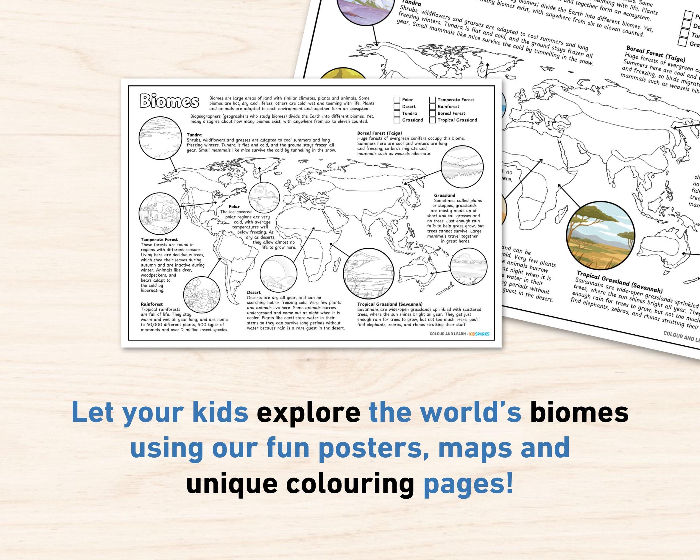 Biomes Printable Colouring Activity, Kids Geography Posters, Map ...