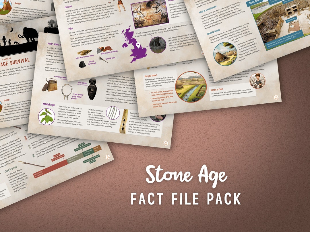 Stone Age Fact Files Prehistoric Human History Learning - Etsy