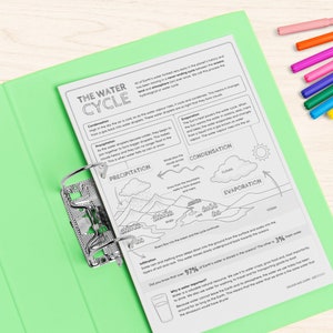 Printable Coloring Fact File, Water Cycle, Color and Learn, for ...