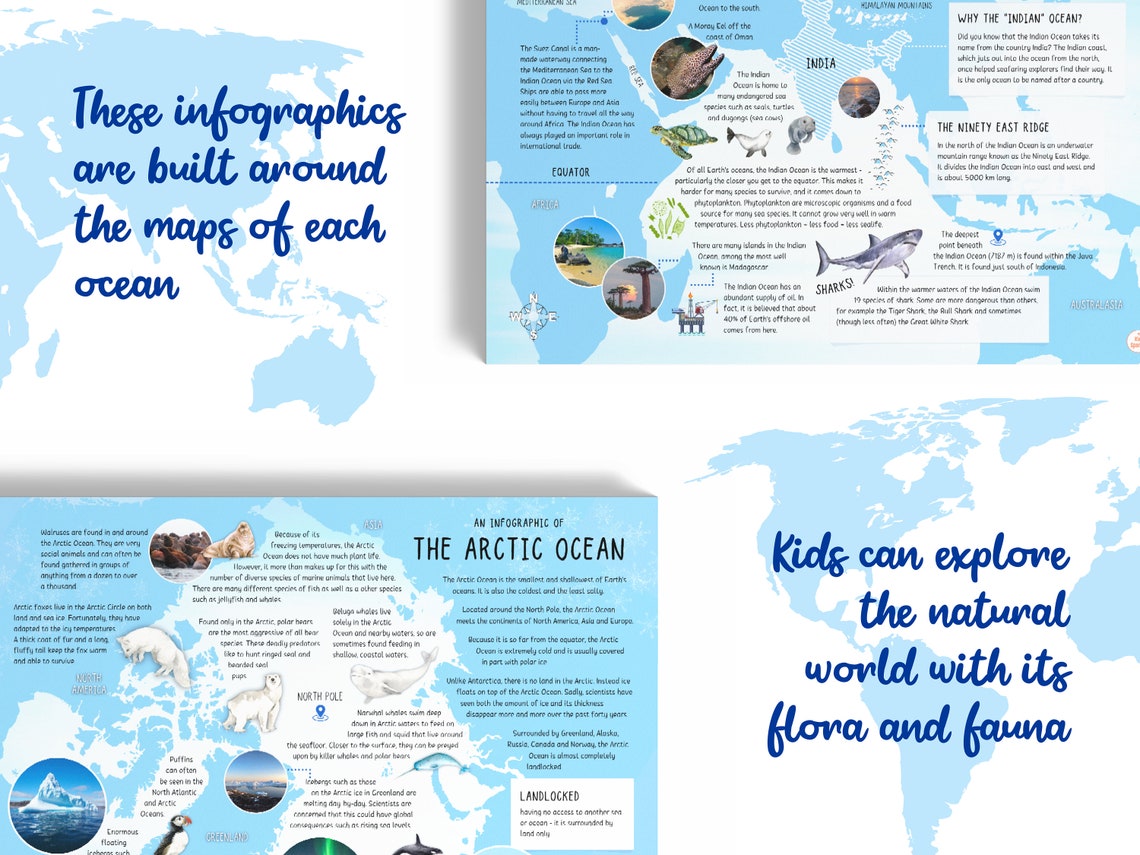 5 Oceans Infographics | Fact Files Geography Learning Primary Education ...