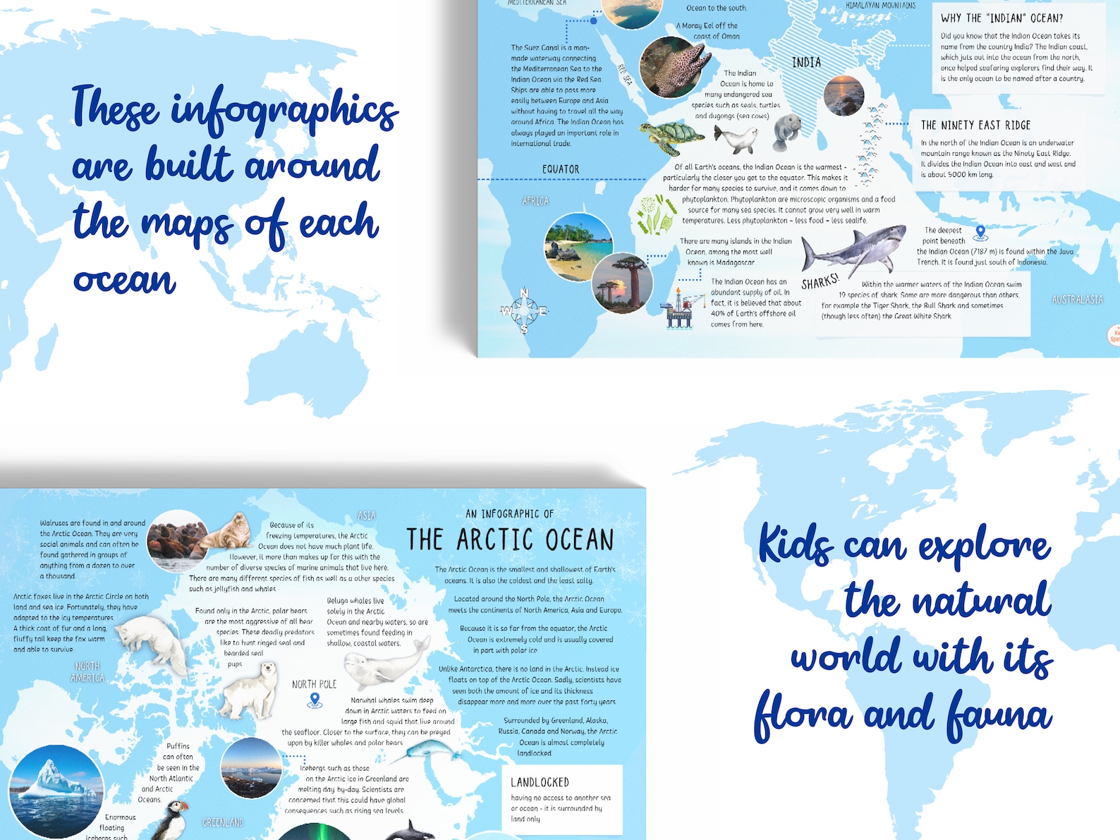 5 Oceans Infographics | Fact Files Geography Learning Primary Education ...