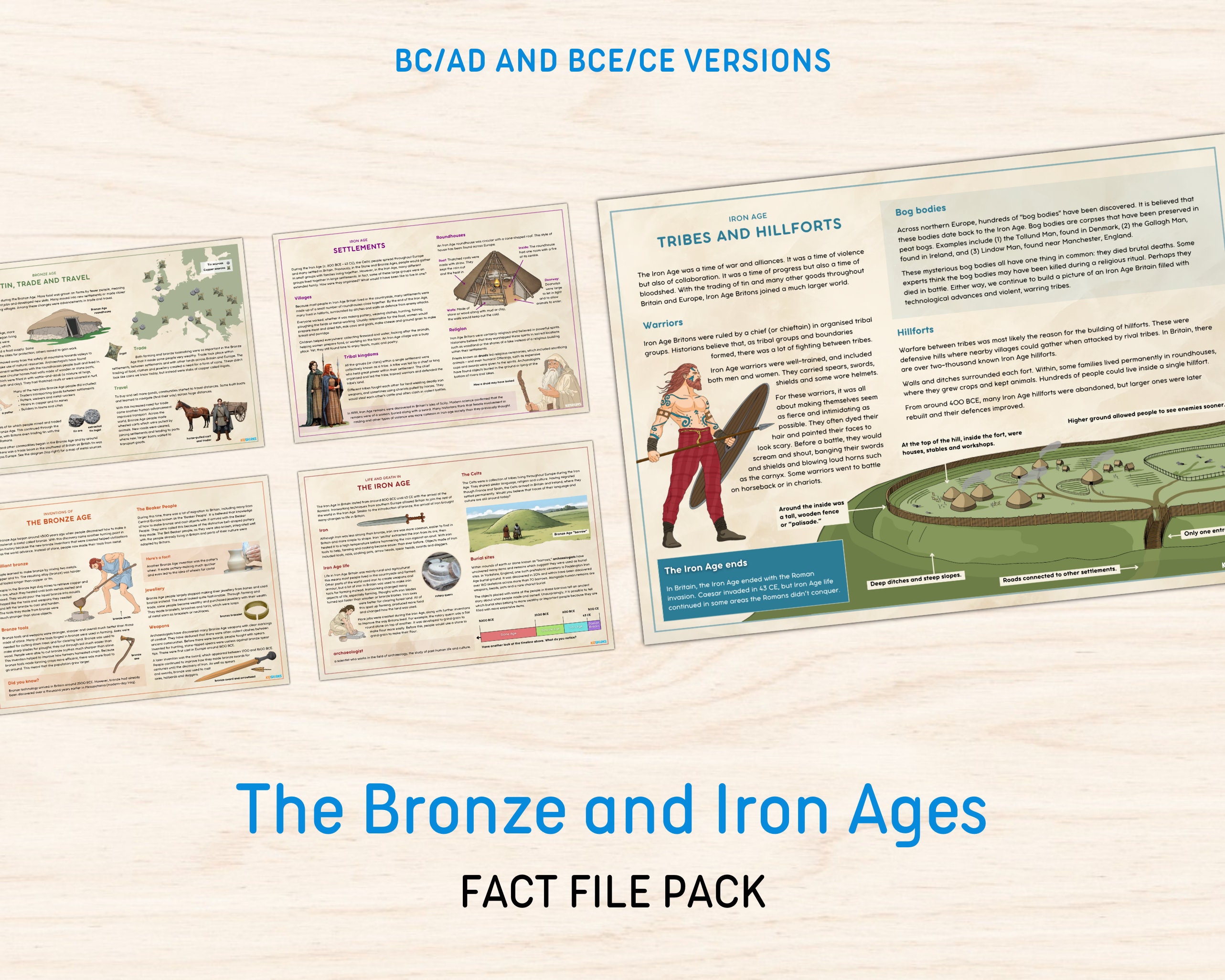 Printable Bronze Age and Iron Age Fact Files | Prehistoric Human ...