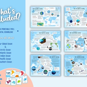 5 Oceans Infographics | Fact Files Geography Learning Primary Education ...