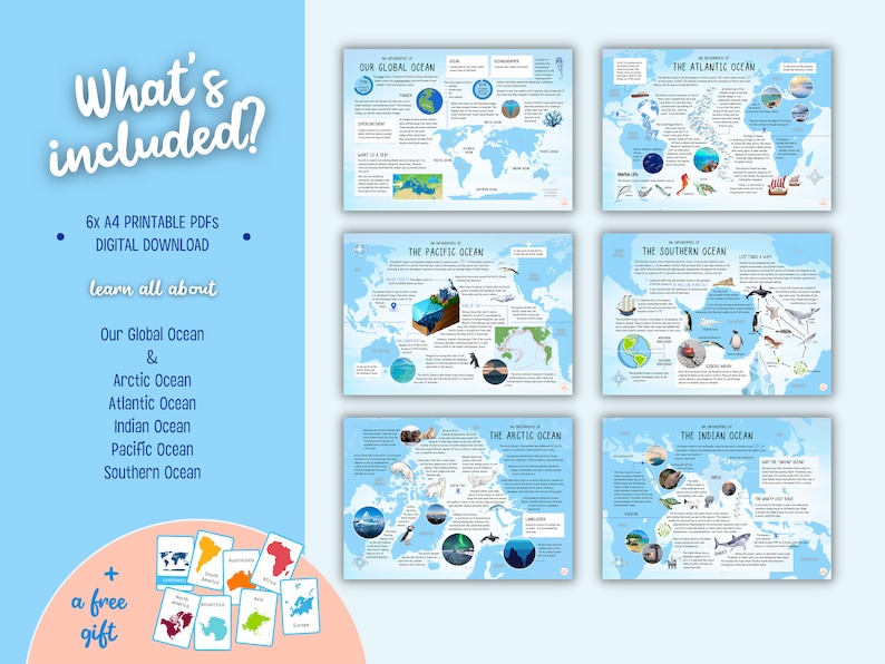5 Oceans Infographics | Fact Files Geography Learning Primary Education ...