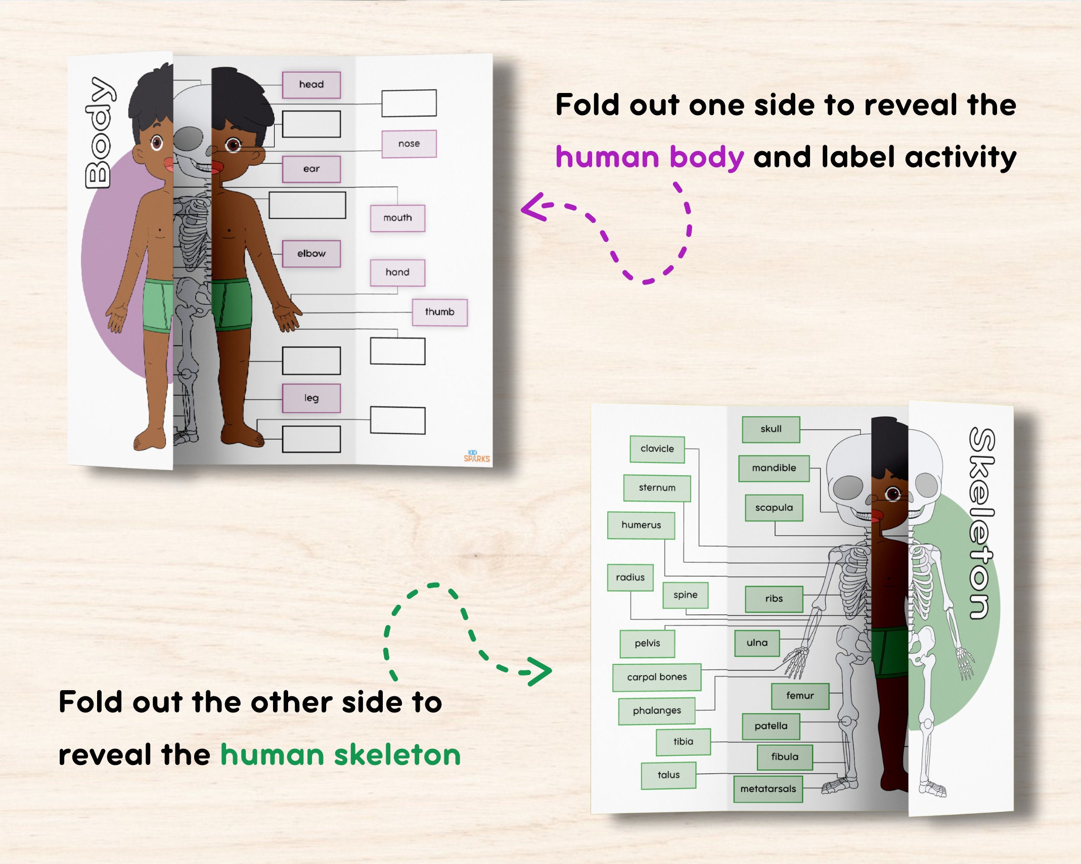 Human Body Skeleton Foldable Activity | Science Learning Education ...