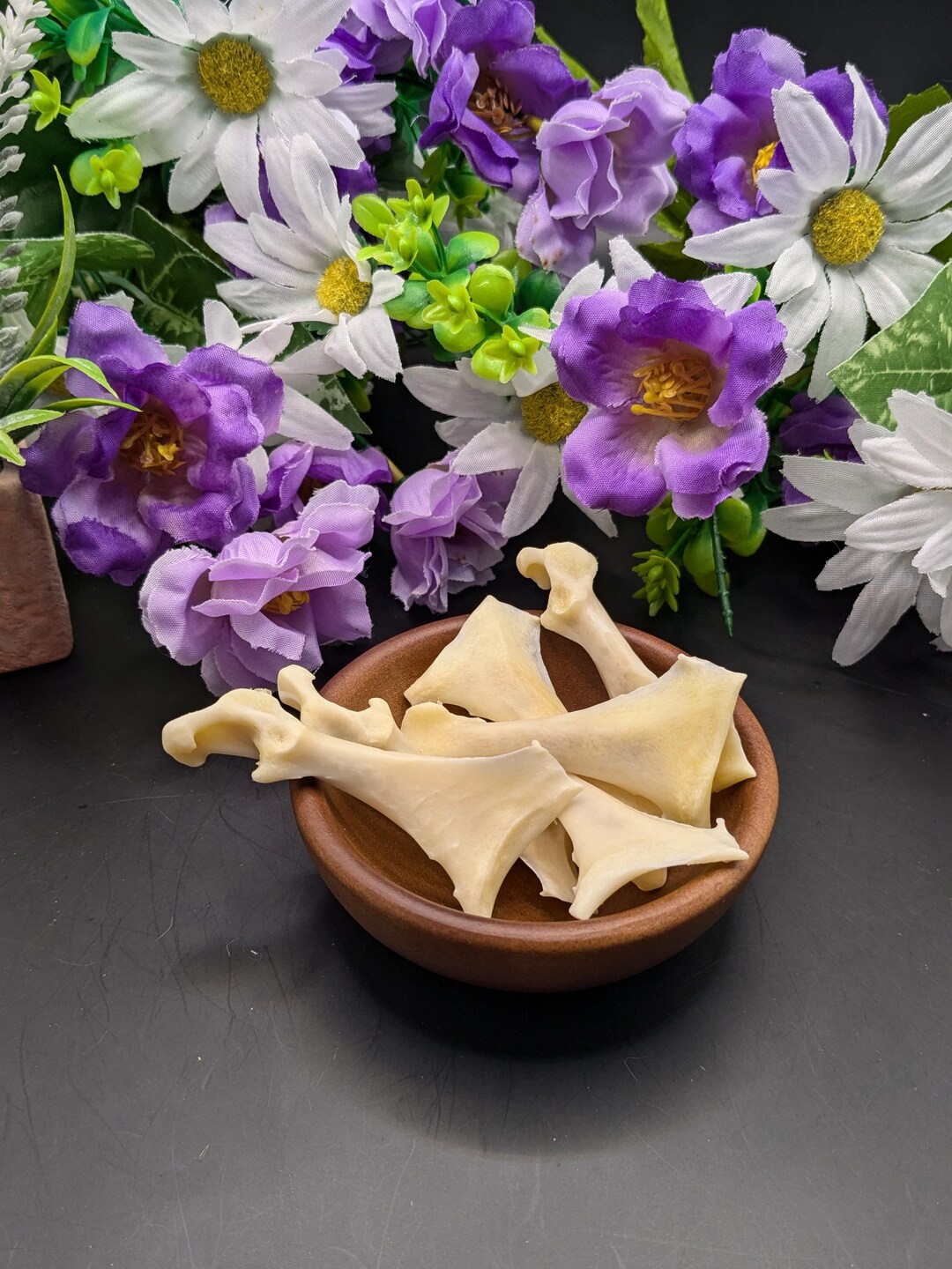 Duck Wing Bone - Humerous - Real, Natural - Domestic Ducks - Etsy