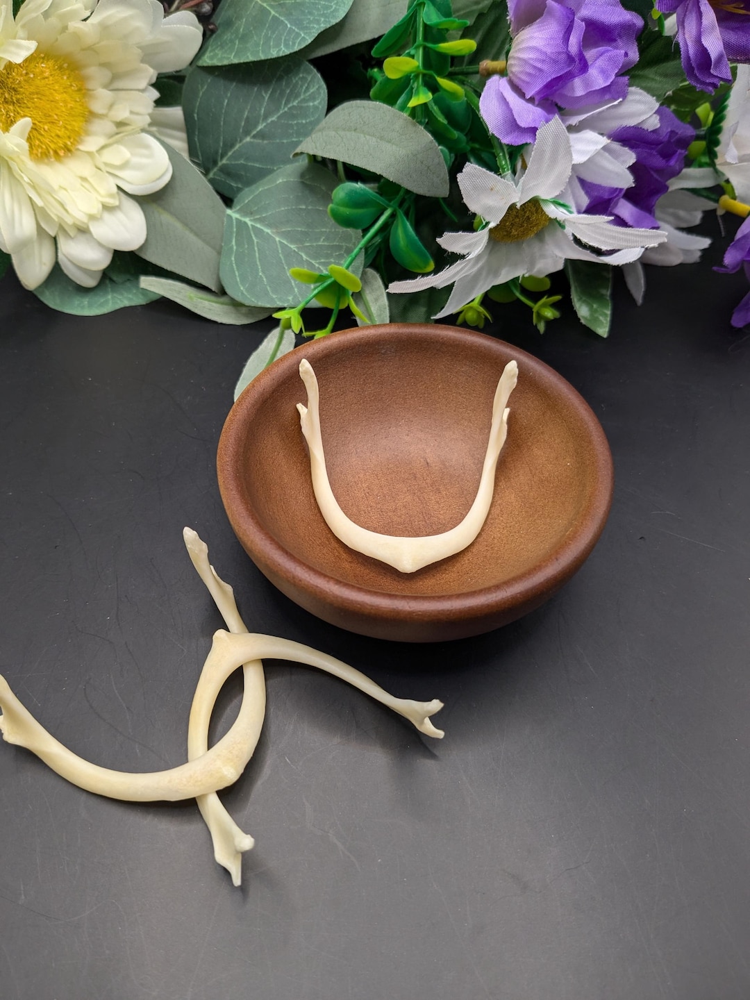 Duck Wishbone Furcula Real, Natural Domestic Ducks - Etsy