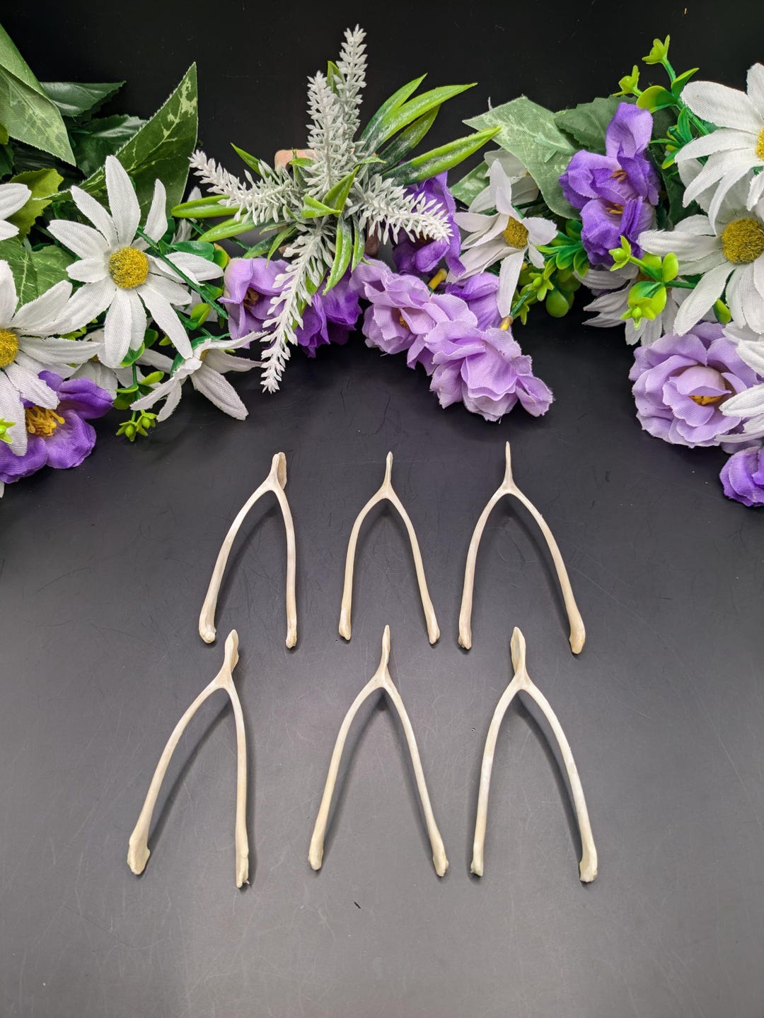 Chicken ROOSTER Wishbones - Furcula - Real, Natural - Etsy