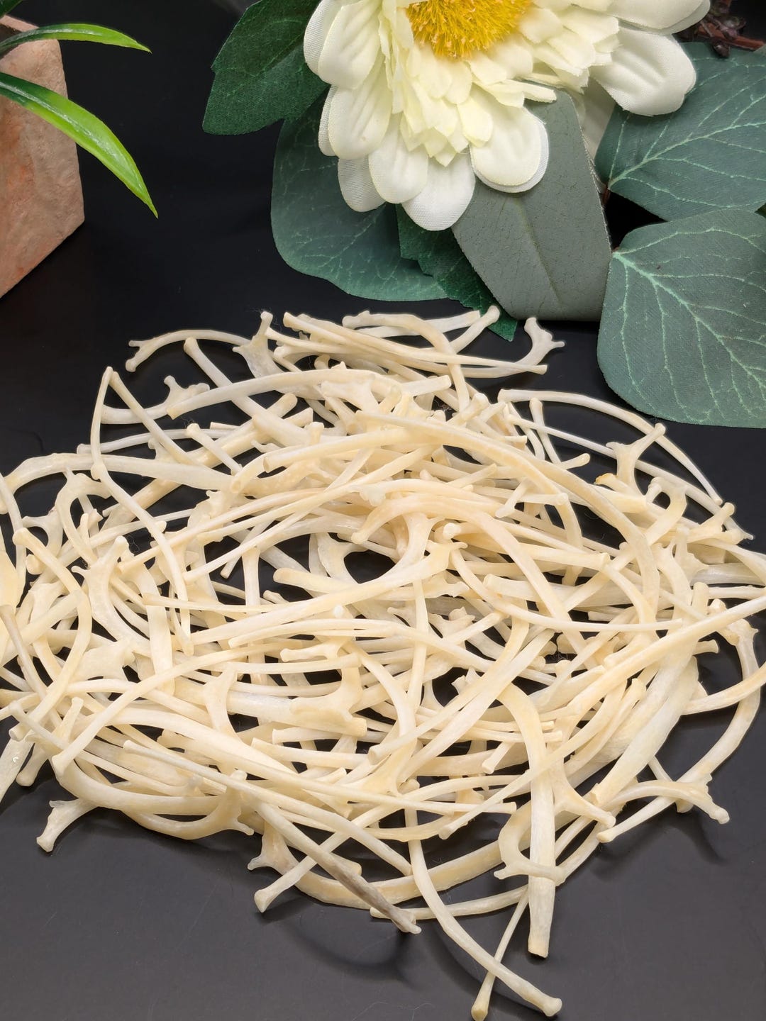 50 Rabbit RIB Bones Bones Real, Natural Jewelry, Crafting, Decor ...