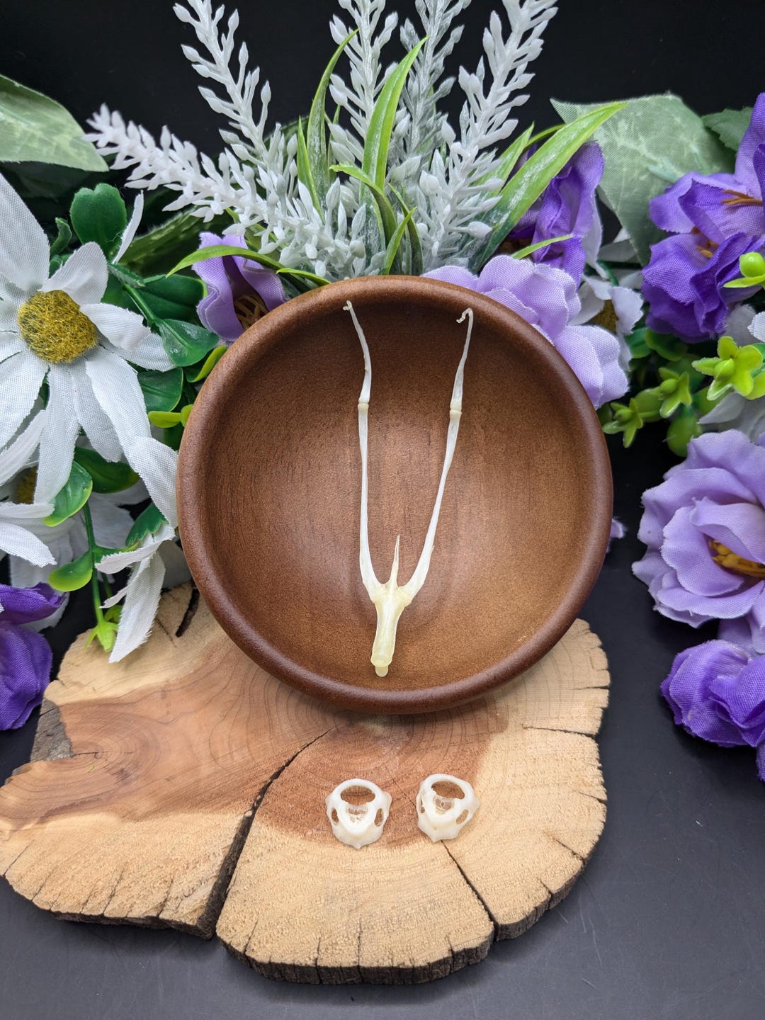 Duck Unique Bones - SET - Atlas Bone - Tongue Bone - Cartilage - Real ...