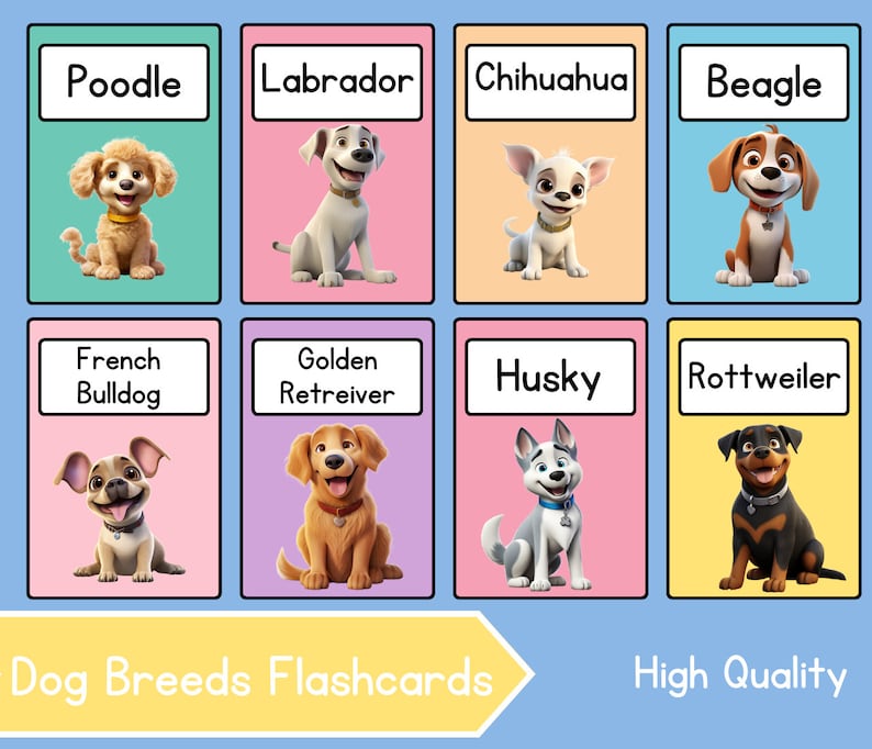 Dog Breeds Kid's 10 Printable Flashcard of Adorable Dog - Etsy