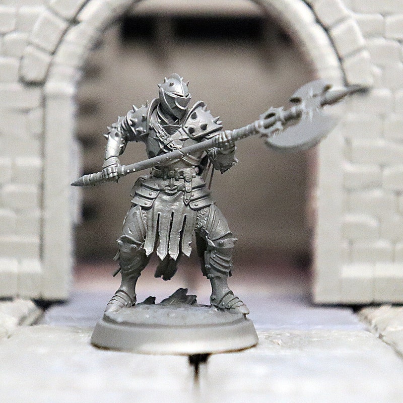 Dnd Miniatures With Halberd - Etsy