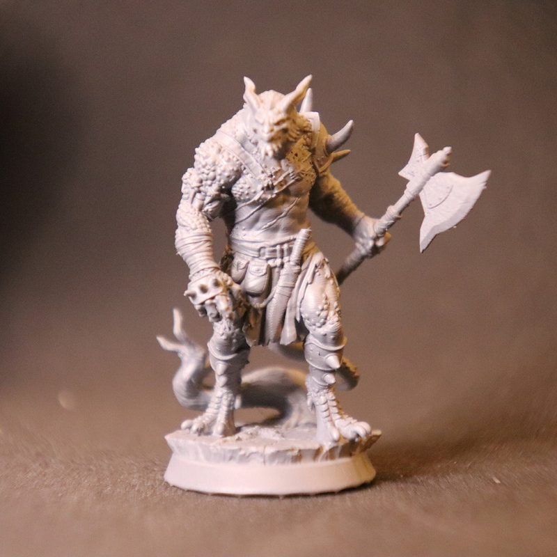 Dragonborn Fighter Male Mini - Etsy