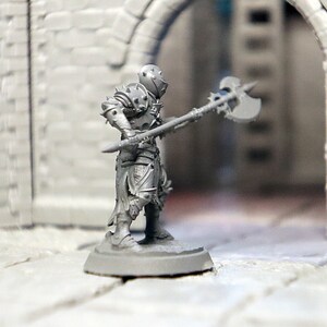 Human, Male, Fighter, Paladin, Full Plate Mail, Casting Spell, Wielding ...