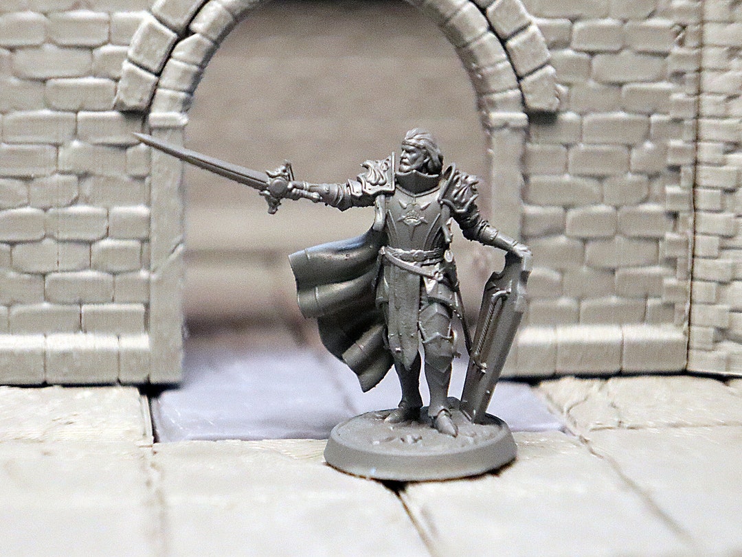 Human, Male, Paladin, Knight, Cleric in Plate Armor, Long Cape and ...