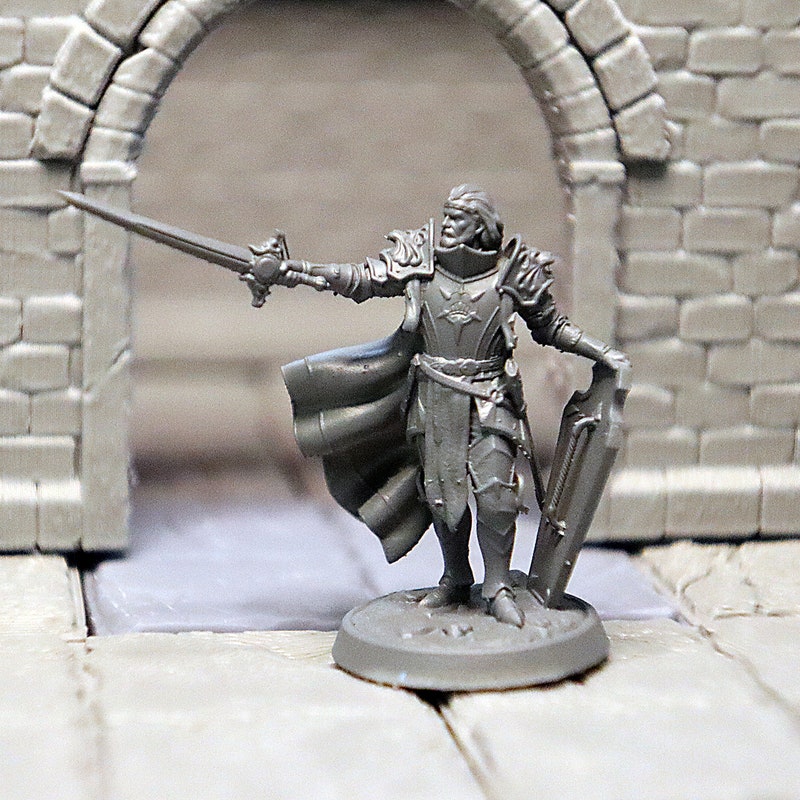 Paladin Large Miniature - Etsy