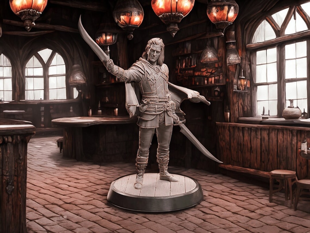 Elf, Male, Rogue, Fighter, Ranger, Reinforced Leather Armor, 2 Weapons ...