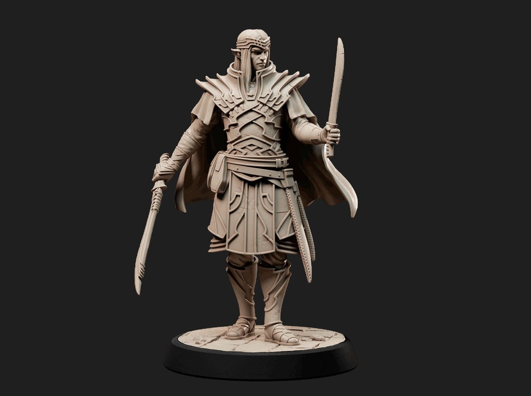 Elf, Male, Fighter, 2-sword Fighting Style, Elven Splint Mail, Circlet ...