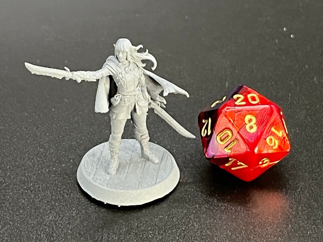 Elf, Female, Rogue, Fighter, Ranger, Reinforced Leather Armor, 2 ...