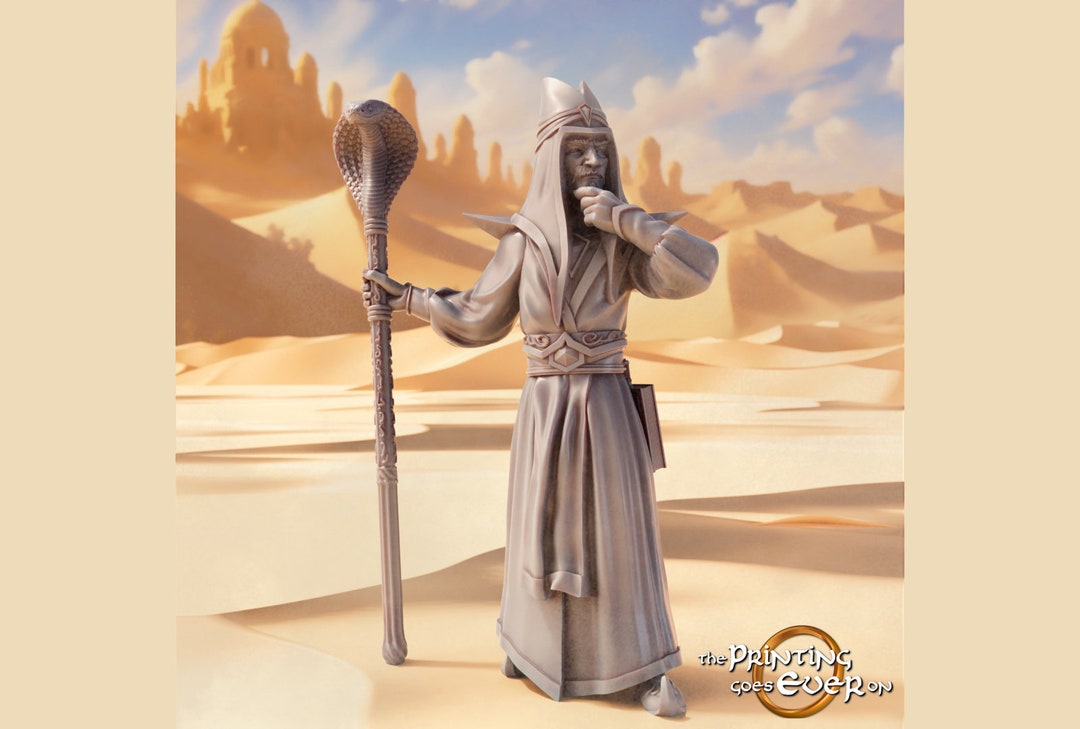 Male Cleric Priest Mage Robes Peaked Hood Spell Book - Etsy