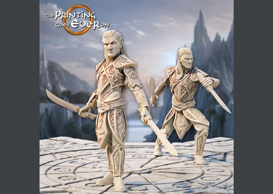 Male, Elf, Dual Wield, Long Sword, Short Sword, Fighter, Warrior ...