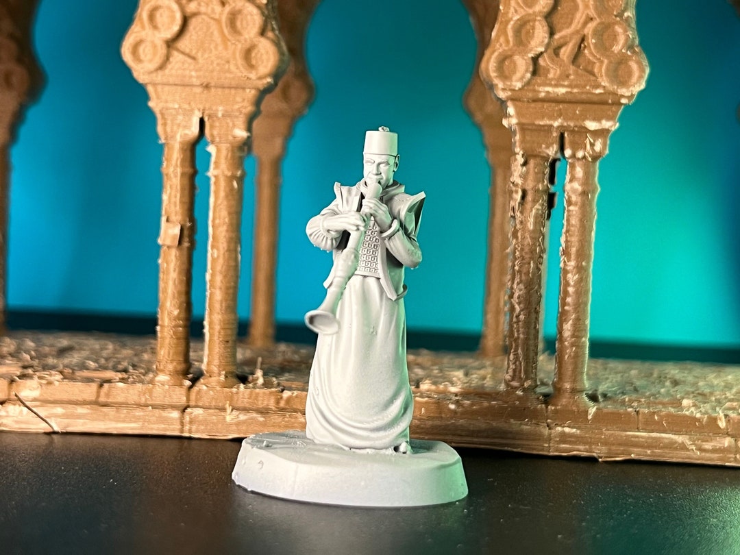 Male, Bard, Musician, Mage, Robes, Vest, Fez, Snake Charmer, Pungi ...