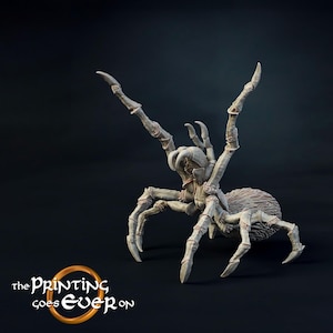 Large Spider, Wolf Spider, Hunting Spider, Attacking - 25/28/32mm ...