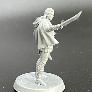 Elf, Male, Rogue, Fighter, Ranger, Reinforced Leather Armor, 2 Weapons ...