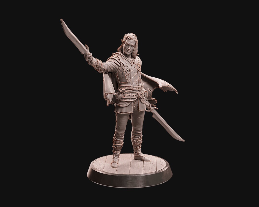 Elf, Male, Rogue, Fighter, Ranger, Reinforced Leather Armor, 2 Weapons ...