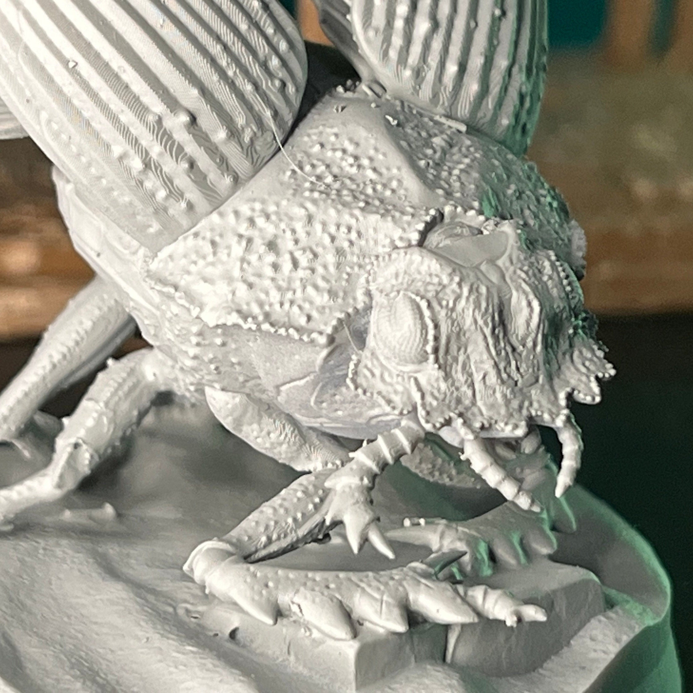 Giant Sand Scarab Beetle Large Wings Crawling Large - Etsy