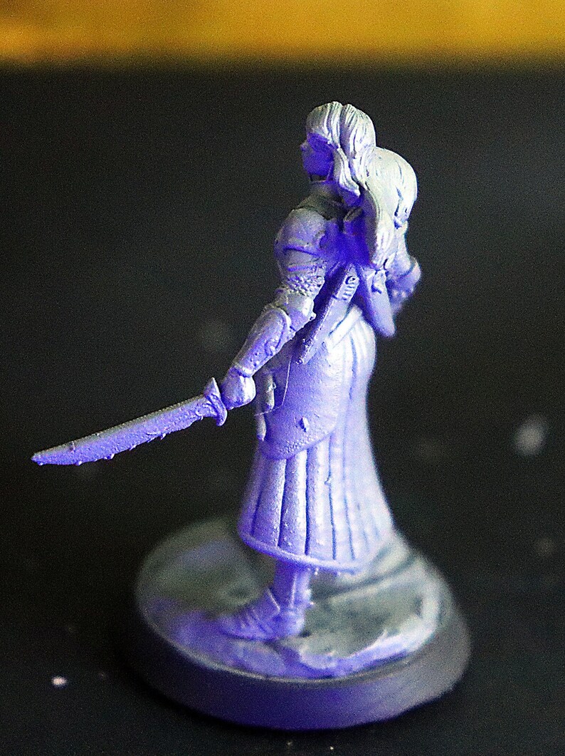 Human Female Fighter Cleric Warrior Dual Wield Plate - Etsy