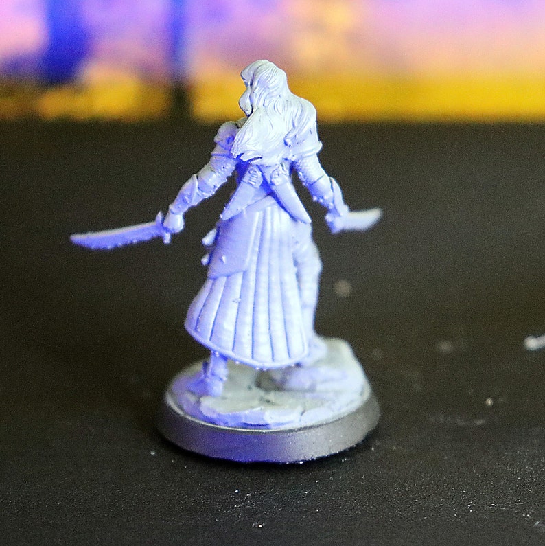 Human Female Fighter Cleric Warrior Dual Wield Plate - Etsy