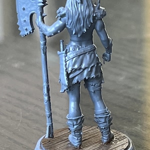 Half-orc, Female, Fighter/barbarian With Fur and Leather Armor, 2 ...