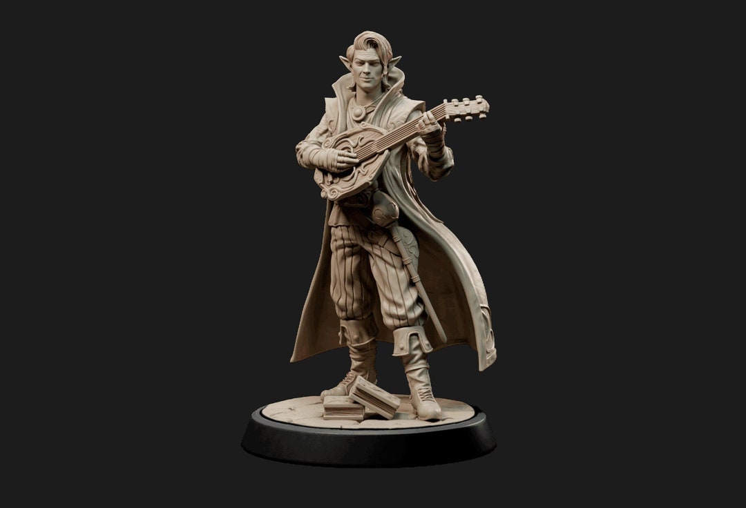 Half Elf, Male, Bard, Rogue, Leather, Vest Coat, Sabre, Guitar, Belt ...