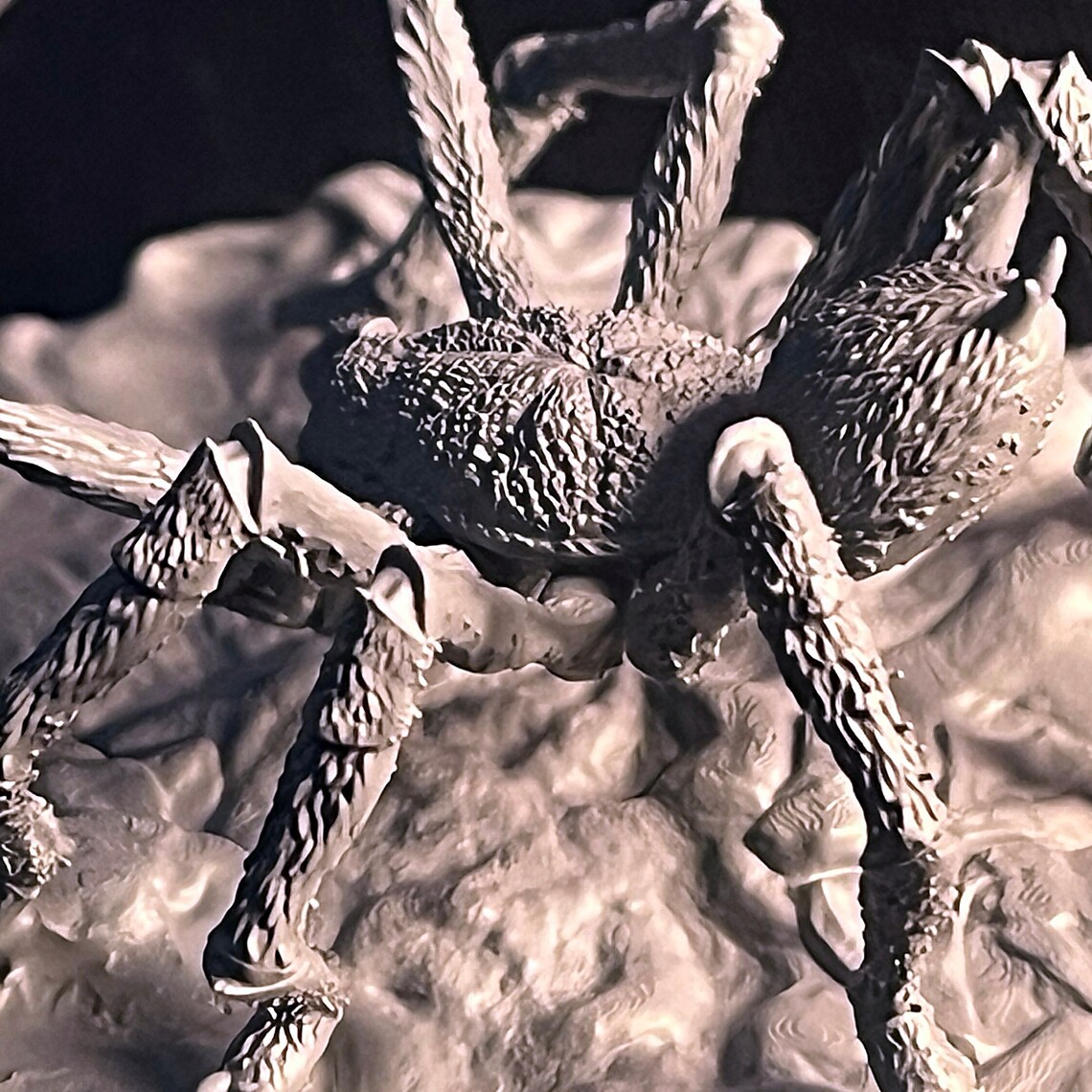 Large Spider Wolf Spider Trap Door Spider 25mm/32mm - Etsy